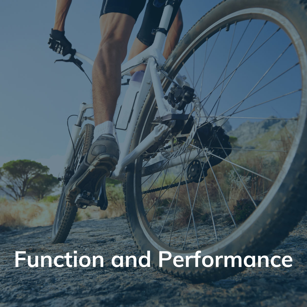 resTOR Longevity Clinic